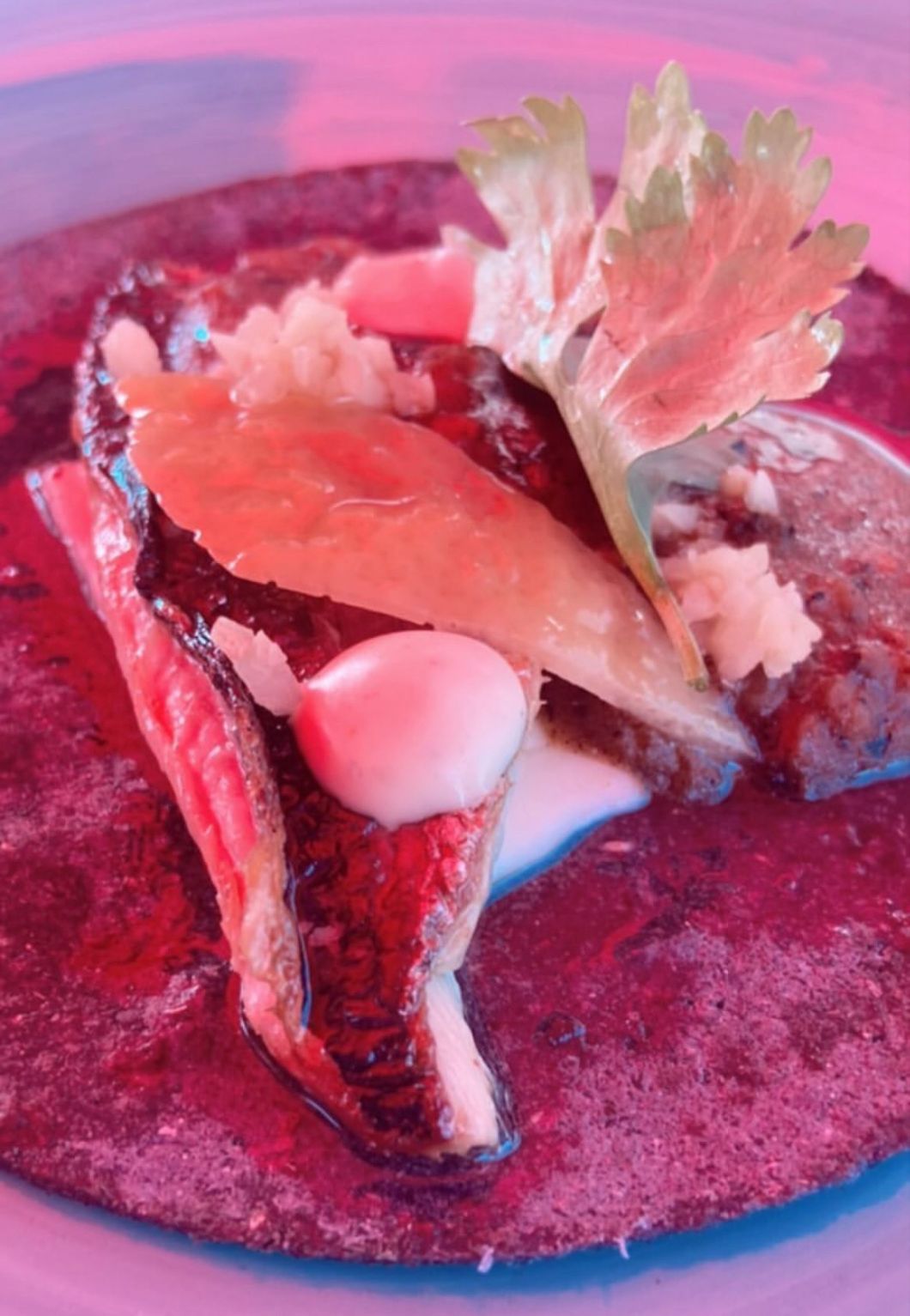 Gana 'Cantera' de Grupo Maglen y productora Sagax en 'Cocina La Baja'